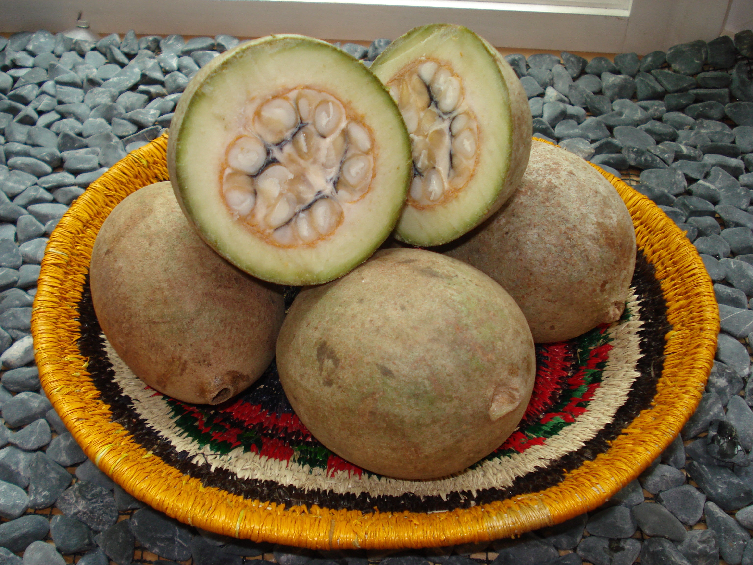 Jagua Black Tattoo Gel (most popular) Fresh + Ready-to-use | Nature's ...